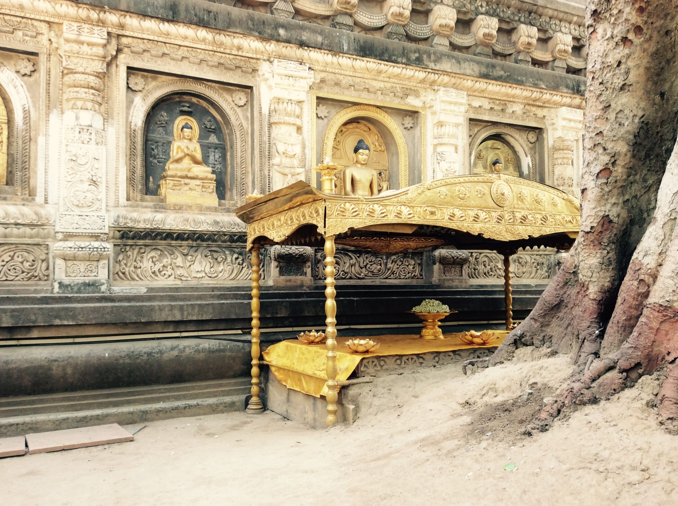 O călătorie în India și Nepal pe urmele lui Buddha, cu retragere de 7 ...